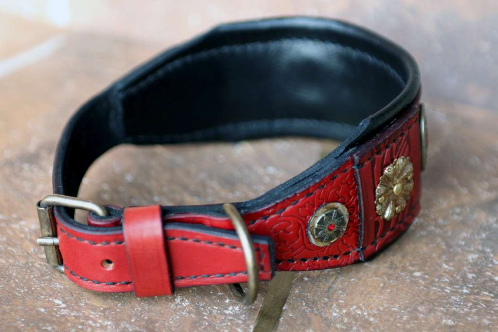 BYZANTINE | Afghan hound leather collar - Sauri Dog Collars