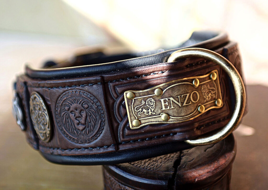 MATTIS | Custom embellished dog collar with nameplate - Sauri Dog Collars