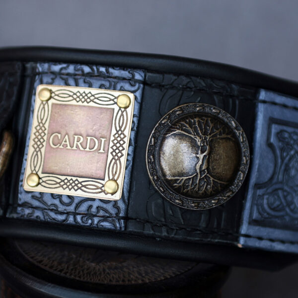 LOKI | Viking dog collar with nameplate - Sauri Dog Collars