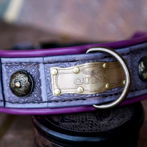 LOKI | Viking dog collar with nameplate - Sauri Dog Collars