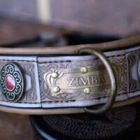 Shop - Page 2 of 3 - Sauri Dog Collars
