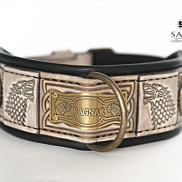 LOKI | Viking dog collar with nameplate - Sauri Dog Collars