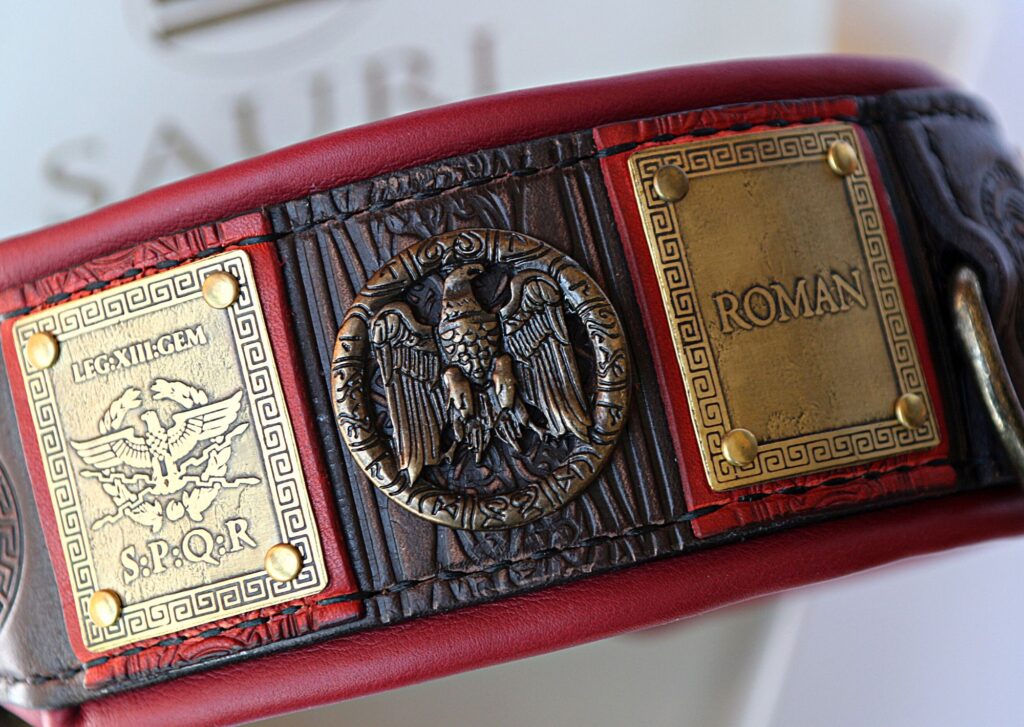 SPQR Custom engraved Roman dog collar - Sauri Dog Collars